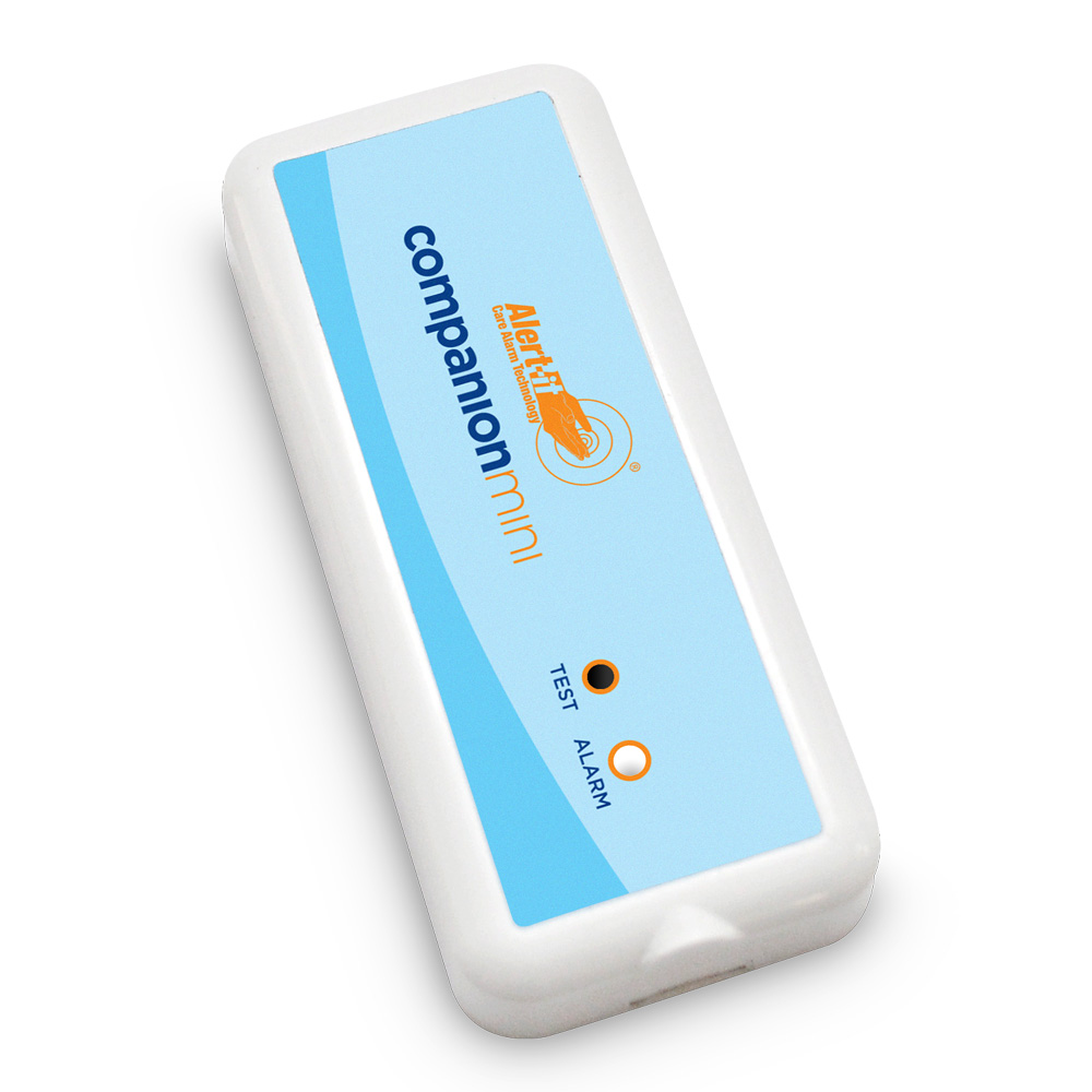 Companion Mini Connect