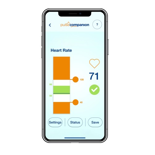 Seizure Alerts & Epilepsy Comorbidities in Learning Disabilities